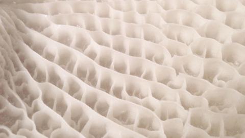 World Tripe Day: Can we fall in love with tripe again? - BBC News