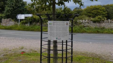 Lord Mostyn's 1877 'coming of age' ceremony remembered - BBC News