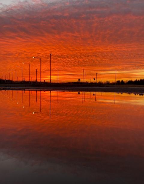 In pictures: Scotland's stunning sunset - BBC News