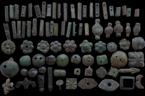 Carrot harvest helped detectorist find hoard of ancient coins