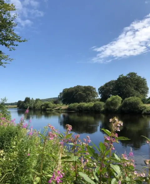 Your pictures of Scotland: 26 July - 2 August