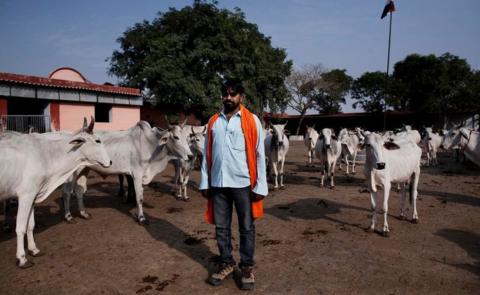 A night patrol with India's cow protection vigilantes - BBC News