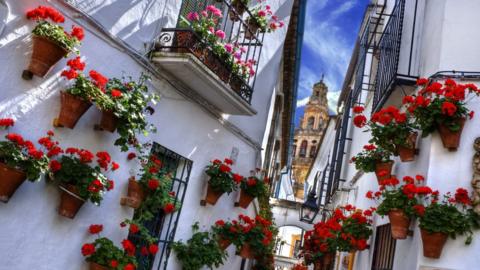 No ni ná: guía para entender las palabras del andaluz (y cómo este ...