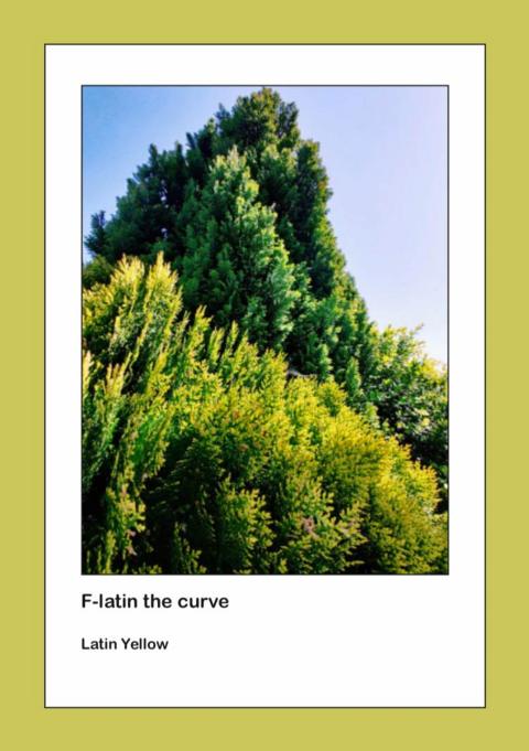 Colours of corona: Capturing moments in isolation - BBC News