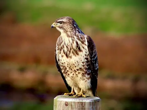 Your pictures of Scotland: 28 October - 4 November