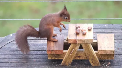 Your pictures of Scotland 15 - 22 January