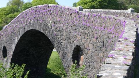 Your pictures of Scotland: 19 - 26 May - BBC News