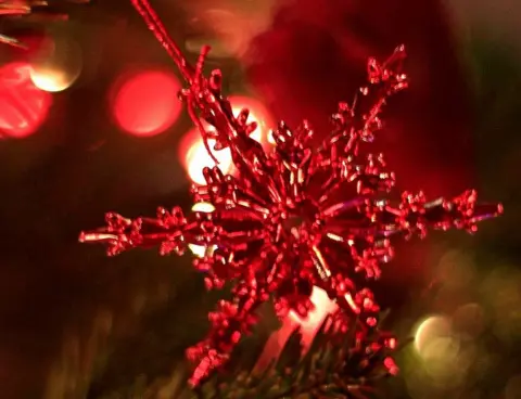 Your pictures: The prettiest star