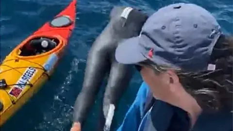 Jasmine Harrison: Rowing star begins 900-mile Britain swim challenge