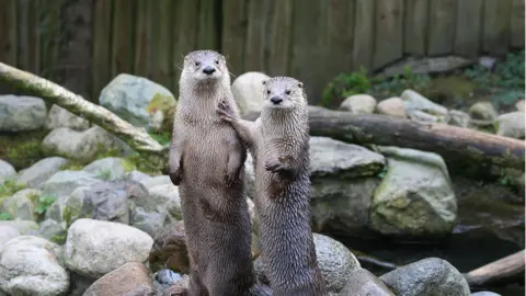 Oban's Scottish Sea Life Sanctuary site is bought