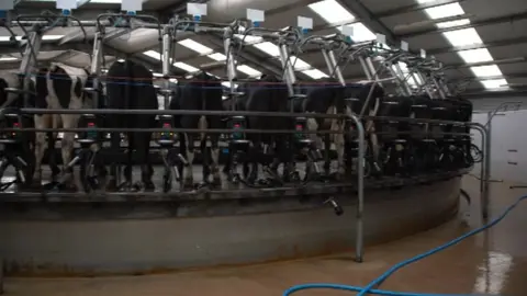 Dairy farmers encouraged to go green in Arla CARE scheme