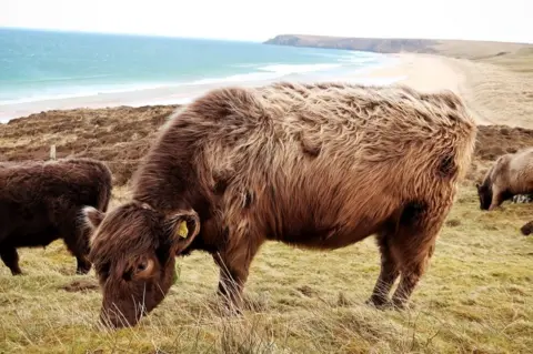 Your pictures of Scotland: 25 August - 1 September