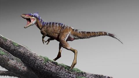 Teeny T. rex relative discovered in US - BBC News