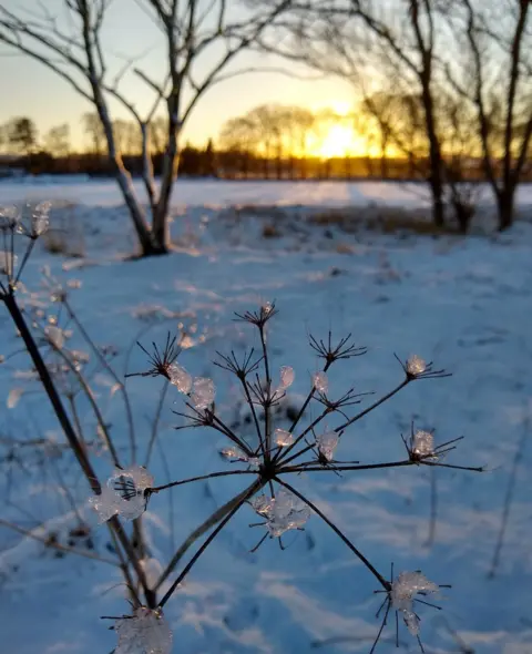 Your pictures of Scotland: 1 - 8 February