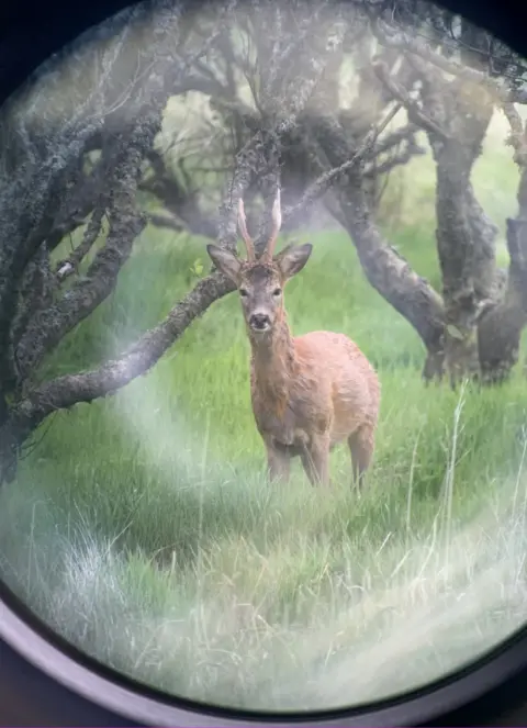 Your pictures of Scotland: 8-15 July