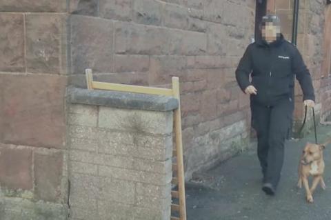 Inside the illegal world of organised dogfighting - BBC News