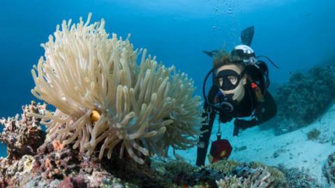Five products you didn't know were harming the environment - BBC News