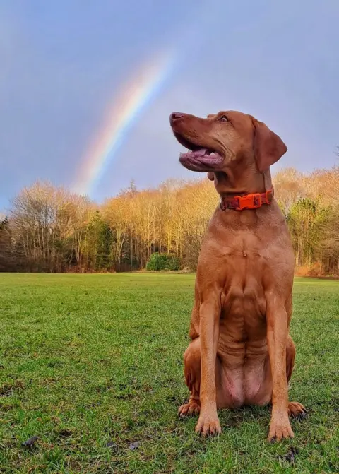 Your pictures of Scotland 26 February - 5 March