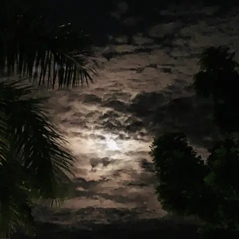 Your pictures on the theme of 'after dark'