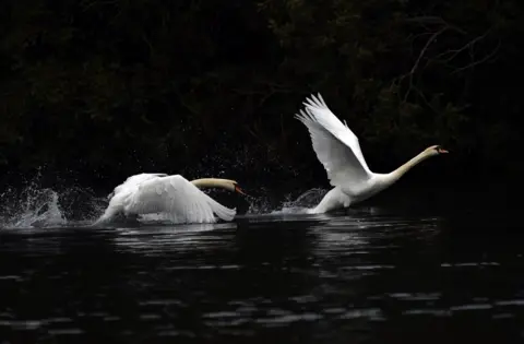 Your pictures of Scotland: 13 - 20 October