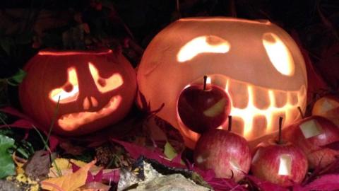 Pictures: Your frighteningly fantastic Halloween pumpkins - BBC Newsround