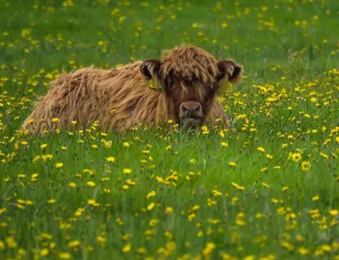 Your pictures of Scotland: 30 Aug - 6 Sept