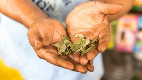 Perú: cómo es el Vraem, el "valle de la droga" en el que ocurrió la ...