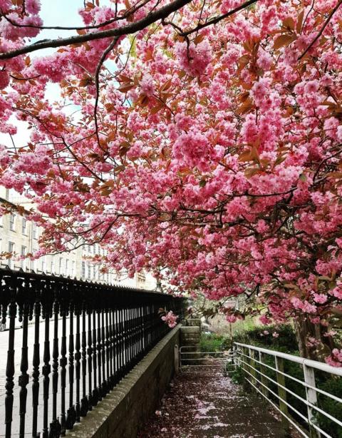 Your pictures of Scotland 23 - 30 April - BBC News