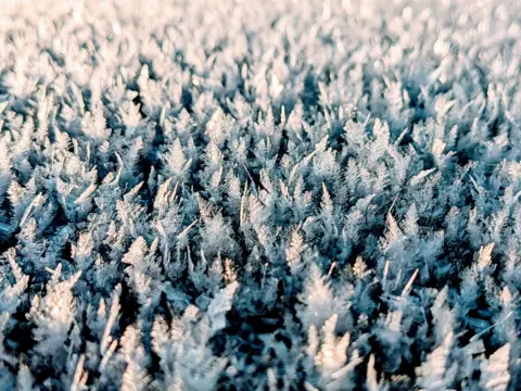 Your pictures of Scotland: 9-16 December