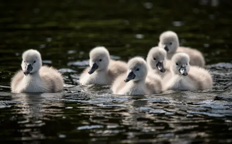 Your pictures of Scotland: 31 May - 7 June