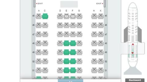 Japan Airlines seat map helps avoid screaming babies - BBC News