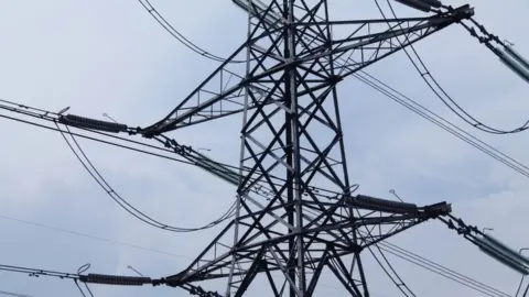 Goose cable strike leaves thousands without power