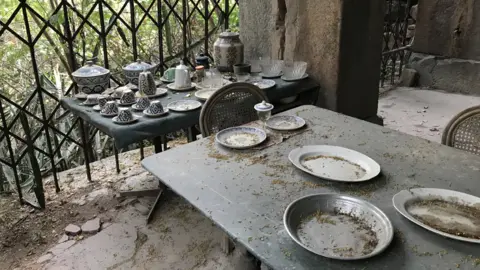 The lonely death of Delhi's jungle prince