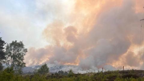 Cannich wildfire causes extensive damage to Corrimony nature reserve ...