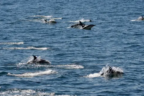 Your pictures of Scotland: 27 May - 3 June