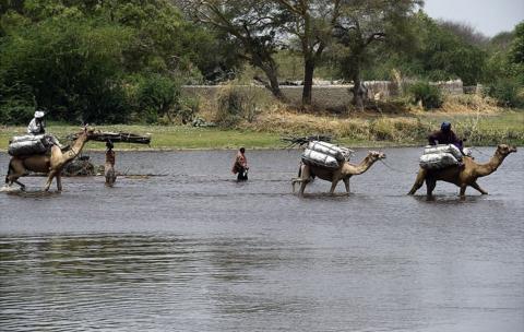 Lake Chad: Can the vanishing lake be saved? - BBC News