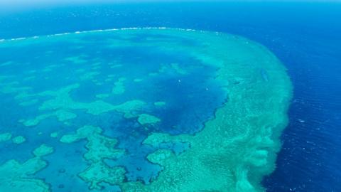 Great Barrier Reef: One million tonnes of sludge to be dumped - BBC News