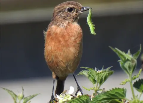 Your pictures of Scotland: 18-25 August
