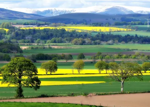 Your pictures of Scotland: 10 - 17 May