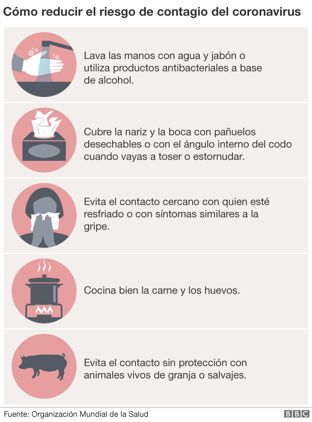 Qué son los coronavirus, cuántos hay y qué efectos tienen sobre los humanos - BBC News Mundo