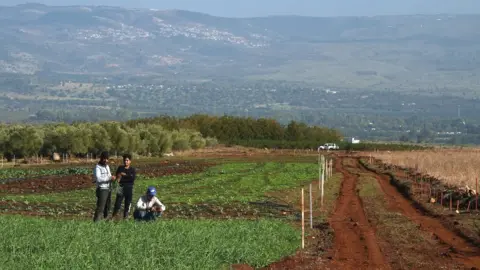 One careful step at a time through Lebanon’s minefields