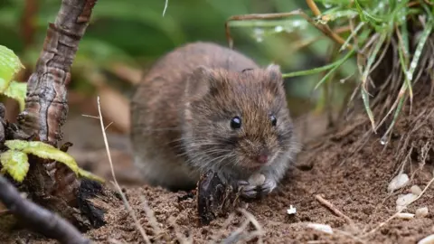Your pictures of Scotland 14 - 21 August