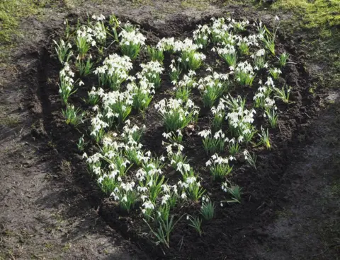 Your pictures of Scotland: 8 - 15 February