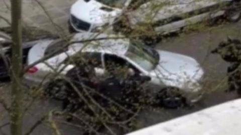 Police open fire after car 'driven at officers' in London - BBC News