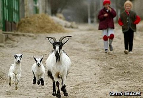 Moldova profile - Timeline - BBC News