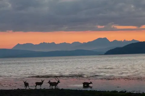Your pictures of Scotland 2 - 9 July