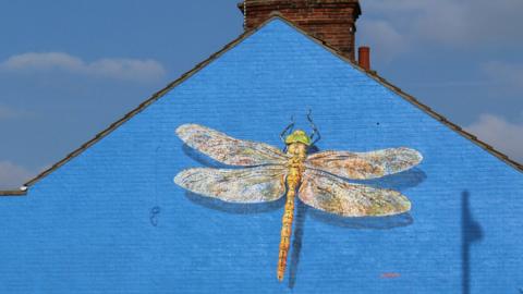 Lowestoft: Street artist ATM creates bird mural - BBC News