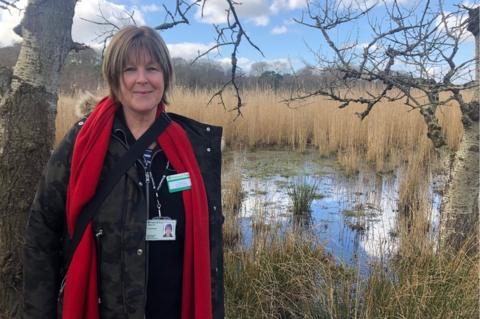 Upgrade for popular UK nature sanctuary - BBC News