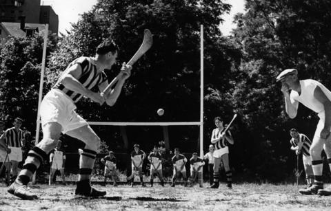 The hurling heroes of Ireland - BBC News