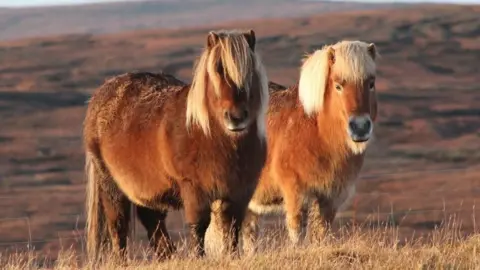 Your pictures of Scotland: 13 - 20 December